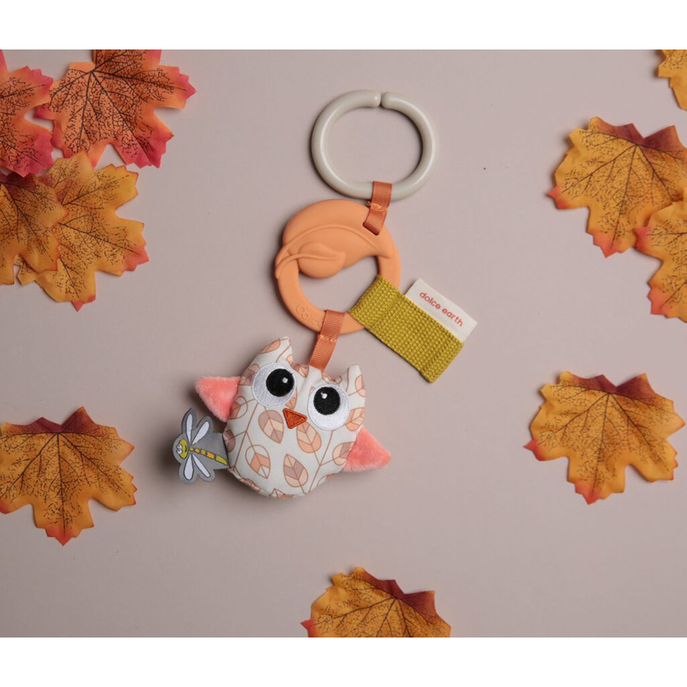 Oliver The Owl • Ανέλιξη